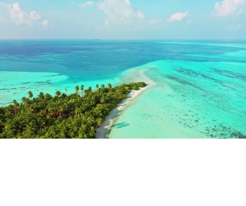 Andrea Paradise Planner - Premier Travel Agent